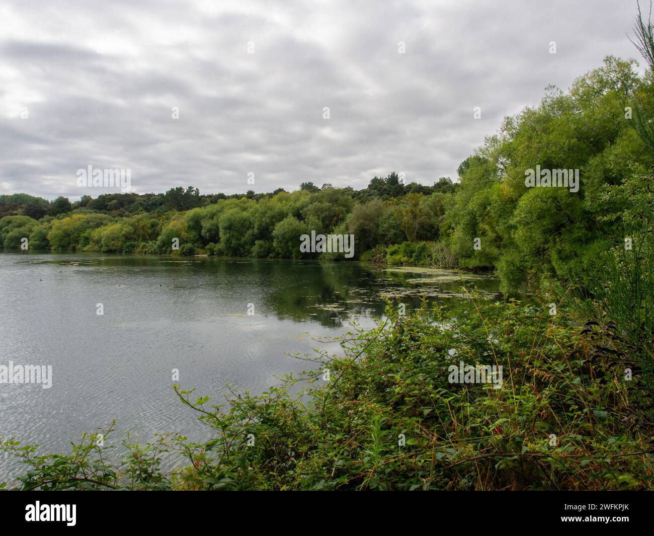 Green trees around lake hi-res stock photography and images - Alamy