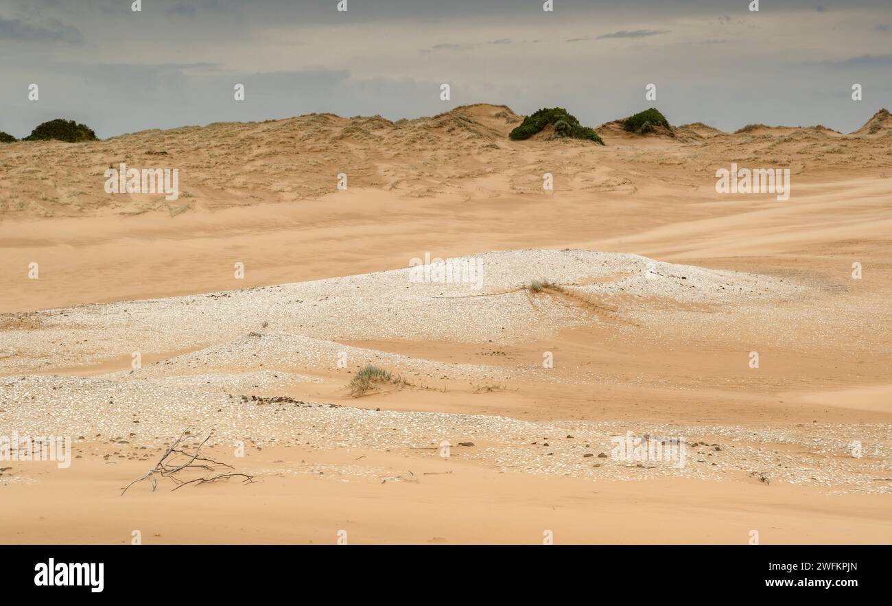 Shell mound hi-res stock photography and images - Alamy