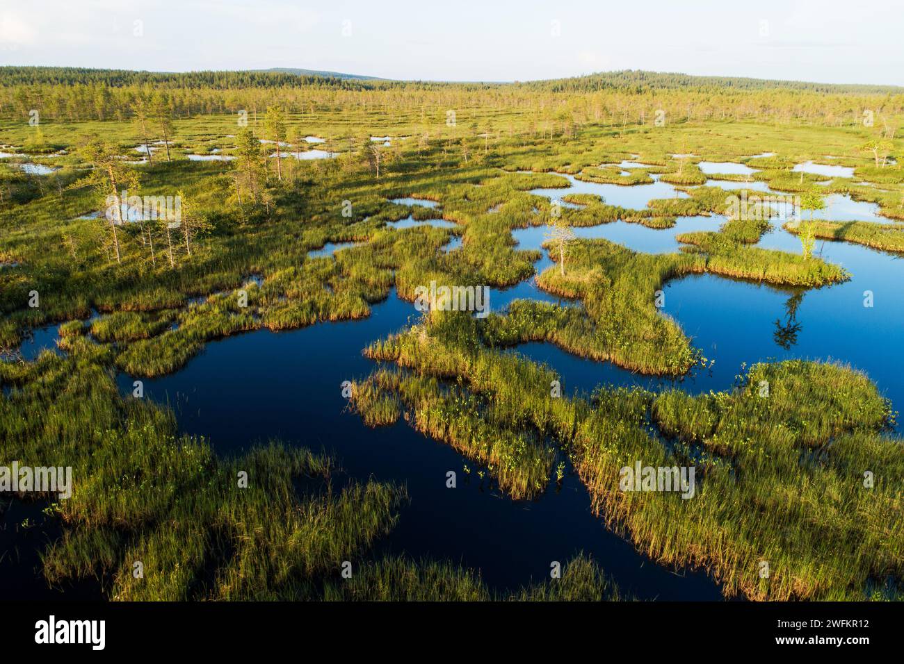 An aerial of a summery wetland with bog ponds near Kemijärvi, Northern ...