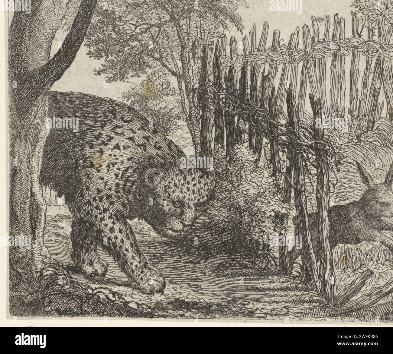 Fable of the leopard and the hare, Aegidius Sadeler (II), 1608 print A ...