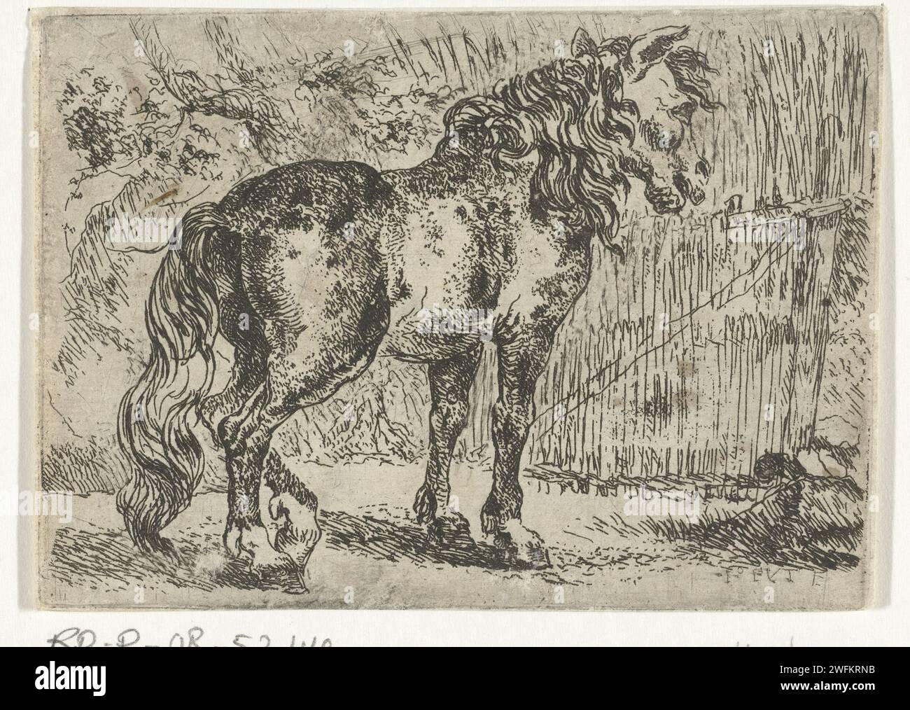 Horse, Joannes Fijt, c. 1621 - 1661 print unknown paper etching horses ...
