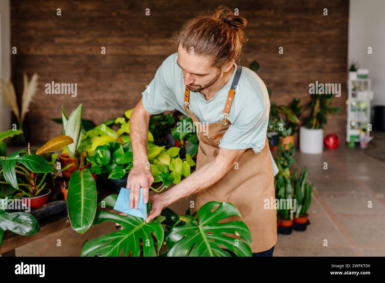 Caucasian male employee owner in indoor potted plant store, small ...