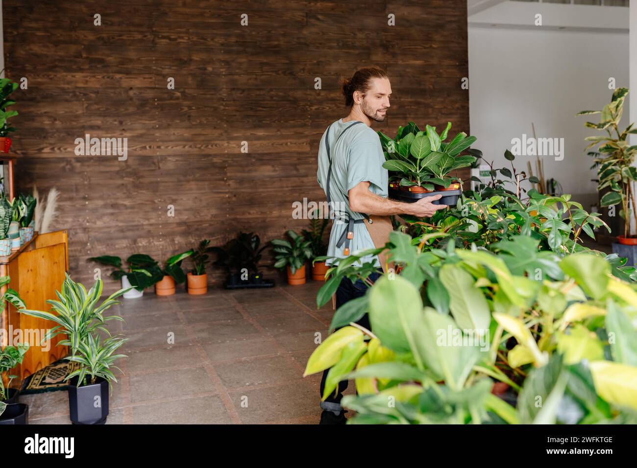 Shop assistant holding terrarium in indoor potted plant store, small ...