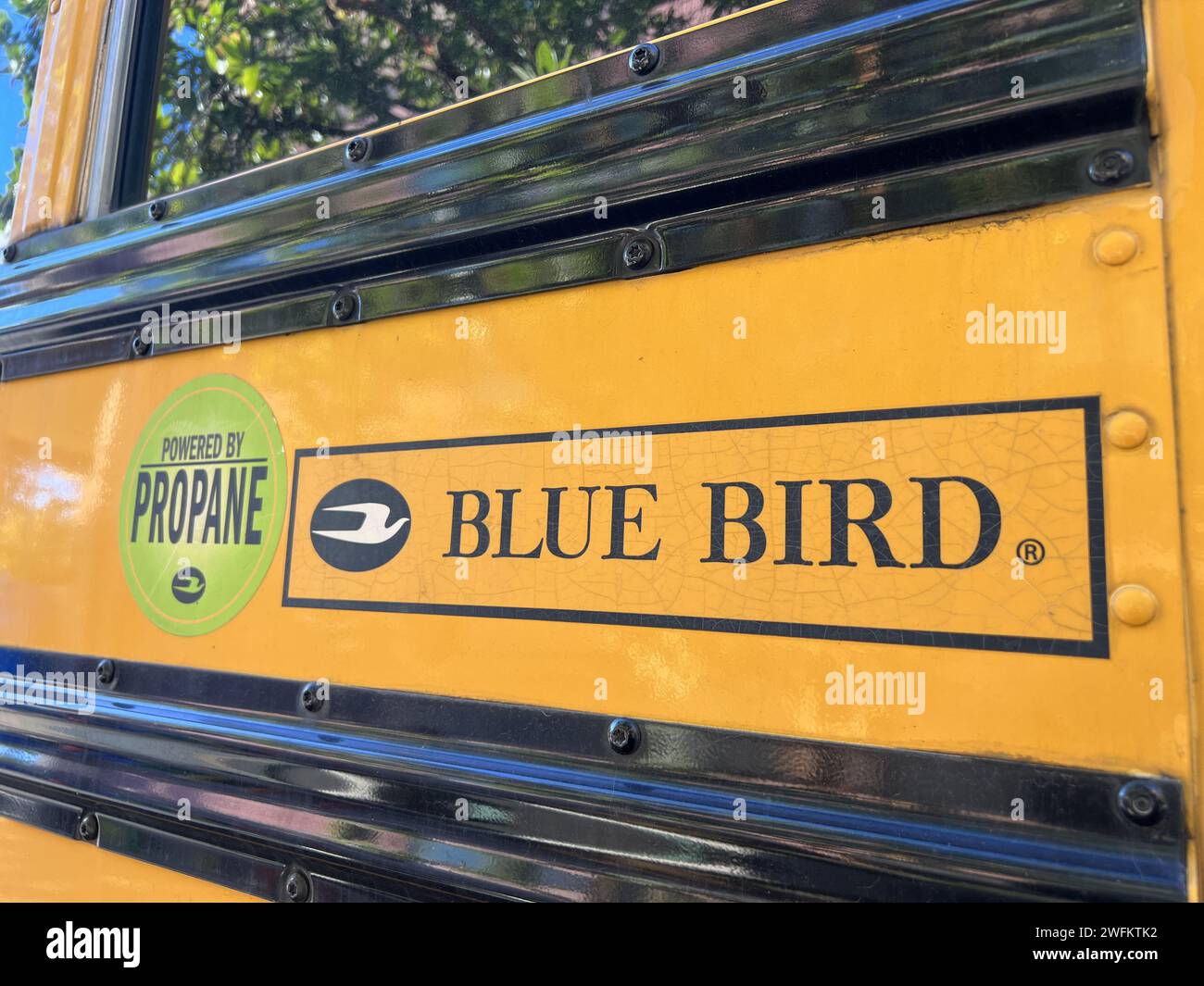 USA. 08th Nov, 2023. Side panel of a yellow Blue Bird school bus with a ...