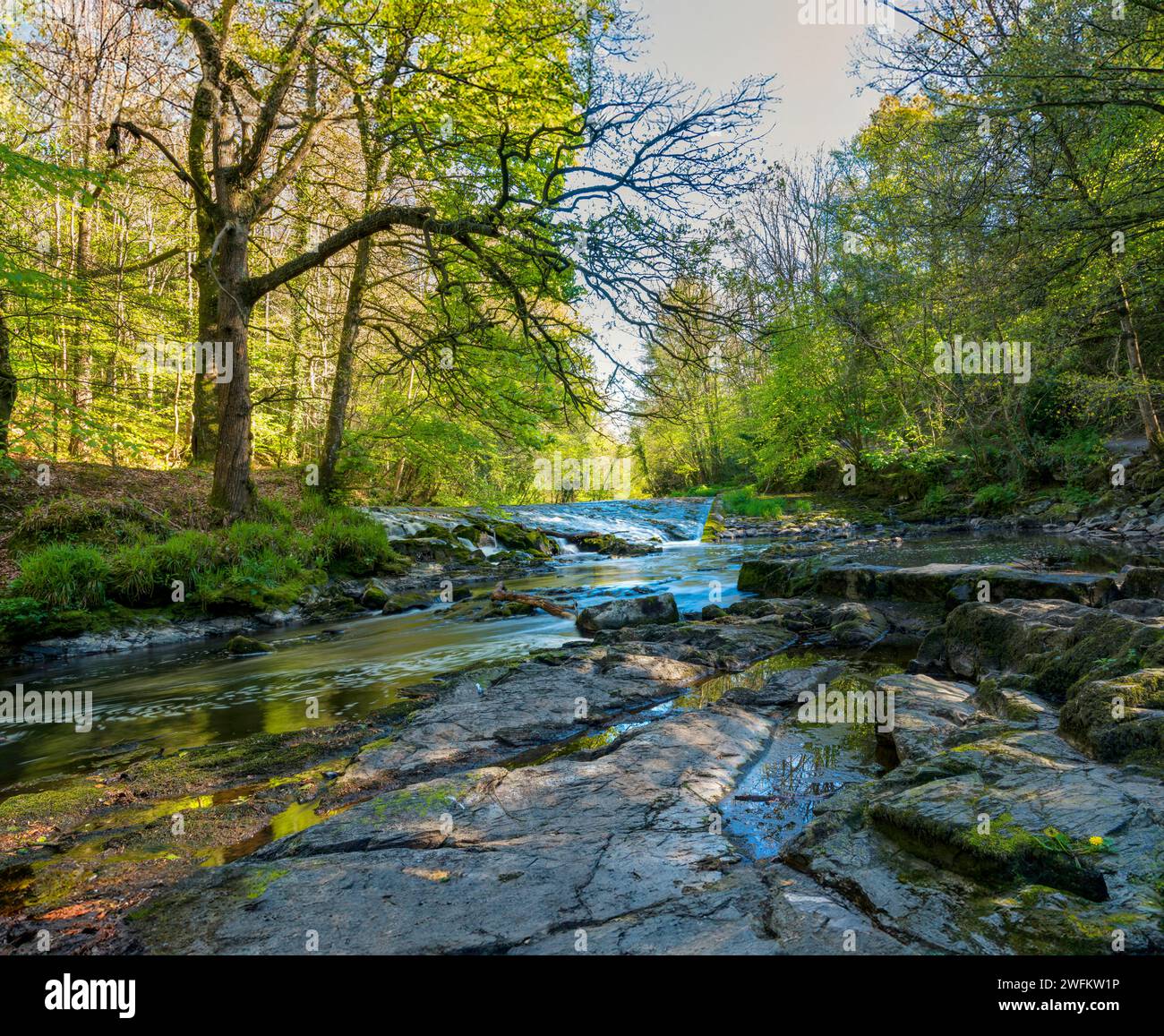 the River Cusher, Clare Glen, Tandragee, County Armagh, Northern ...