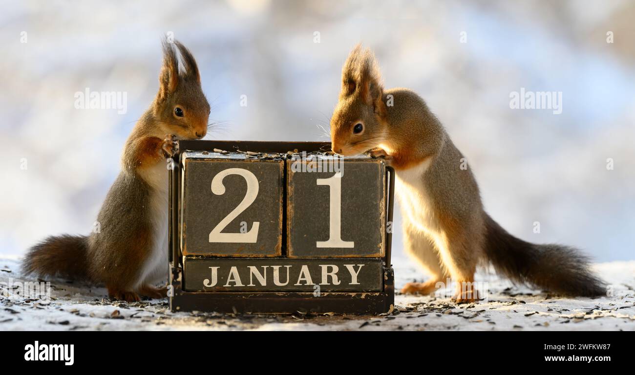 Eternity calendar hi-res stock photography and images - Alamy