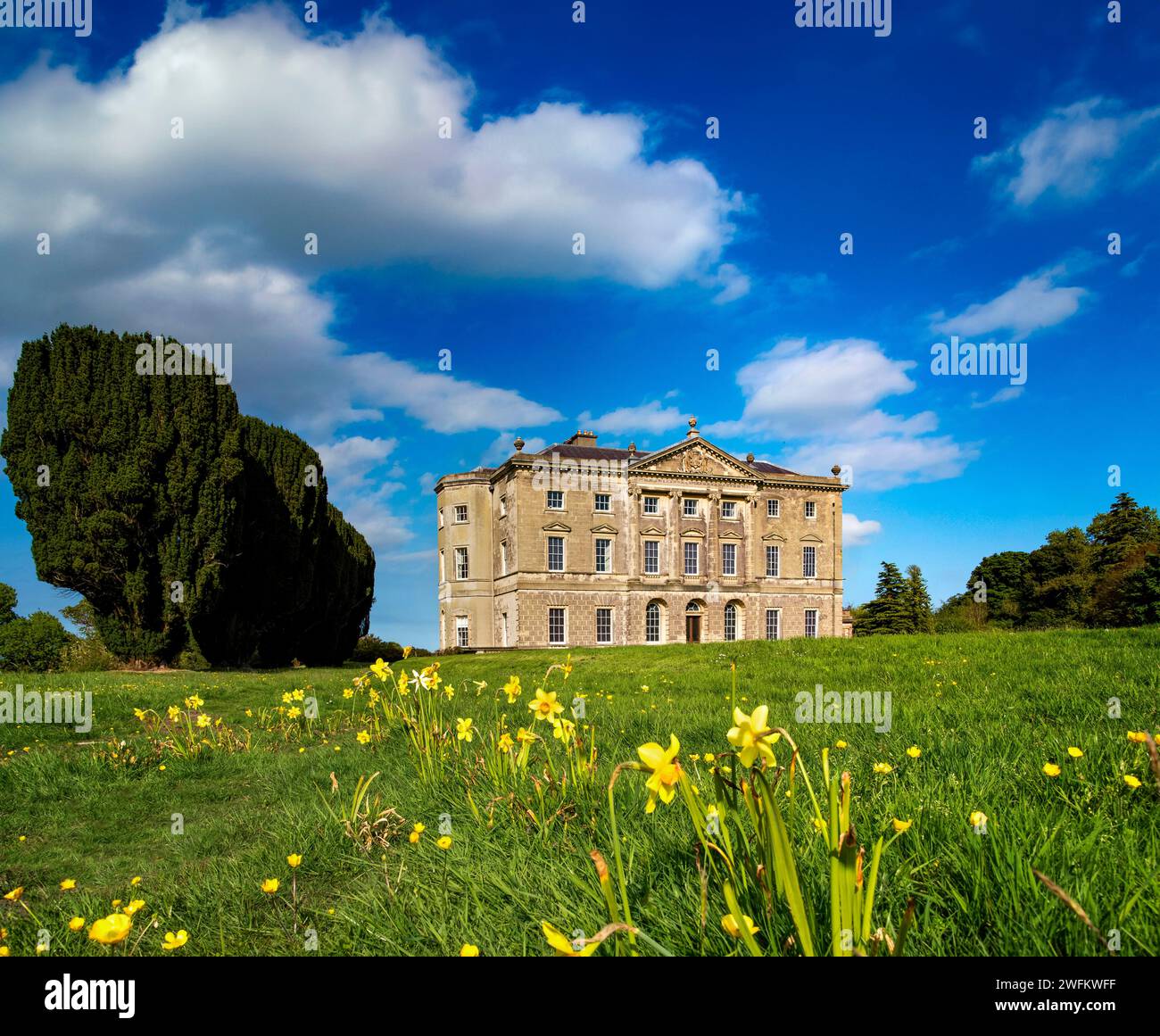 Springtime at Castle Ward, County Down, Northern Ireland Stock Photo ...