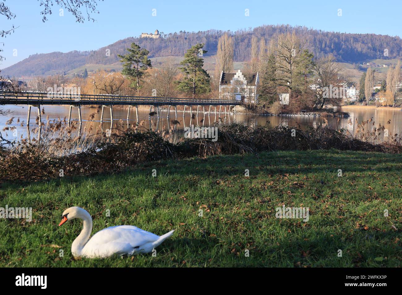 Impressionen von der Insel Werd am Untersee des Bodesees in der Schweiz ...
