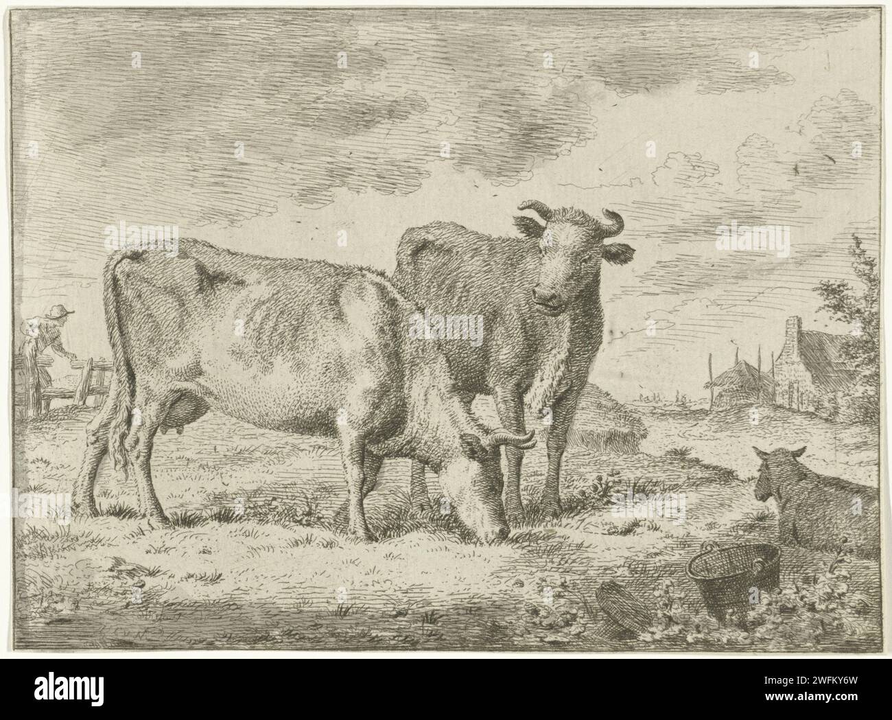 Two standing cows, Cornelis van Noorde, after H.G. Van Nederhorst, 1741 ...