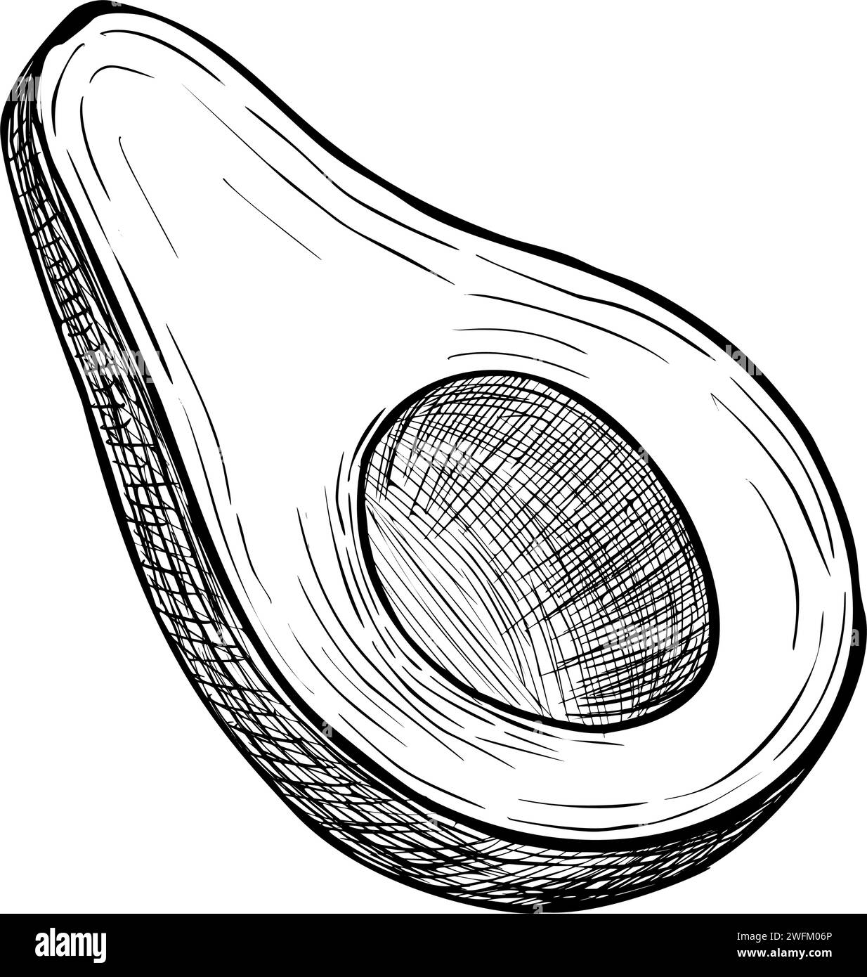 Avocado vector illustration. Hand drawn linear drawing on isolated ...