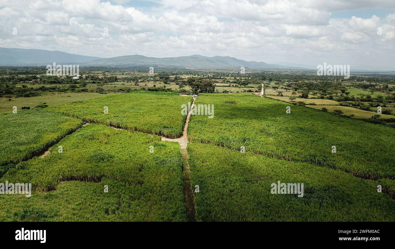 Nakuru, Kenya. 31st Jan, 2024. The aerial photo taken on Jan. 26, 2024 ...
