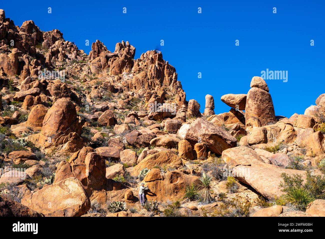 Balanced Rock formation. Big Bend National Park, Texas, USA Stock Photo ...