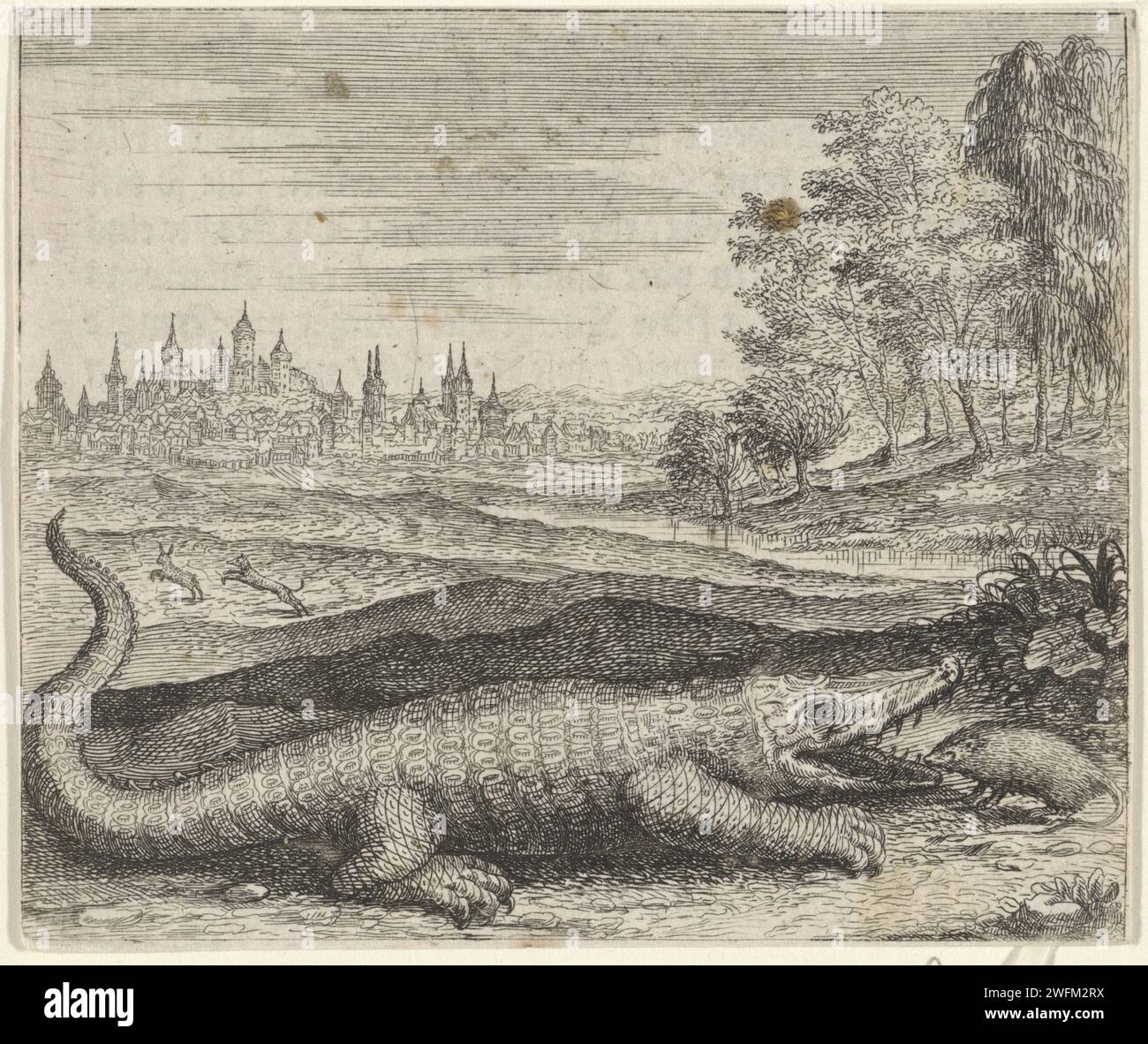 Crocodile story hi-res stock photography and images - Alamy