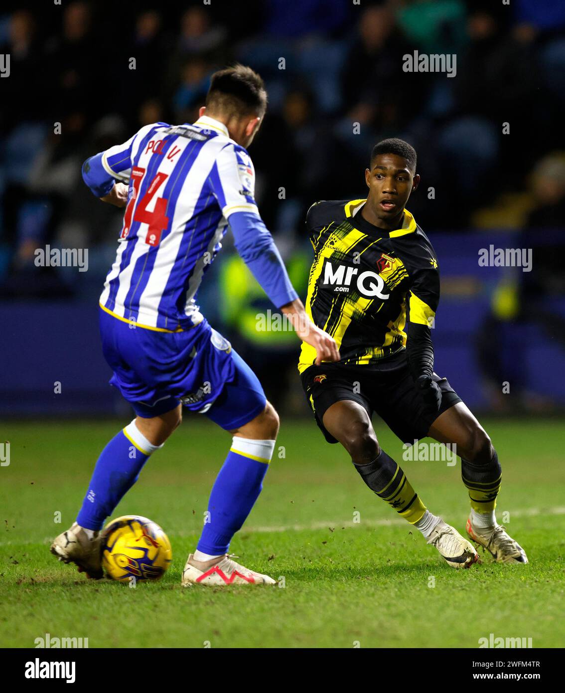 Sheffield wednesday pol valentin hi-res stock photography and images ...