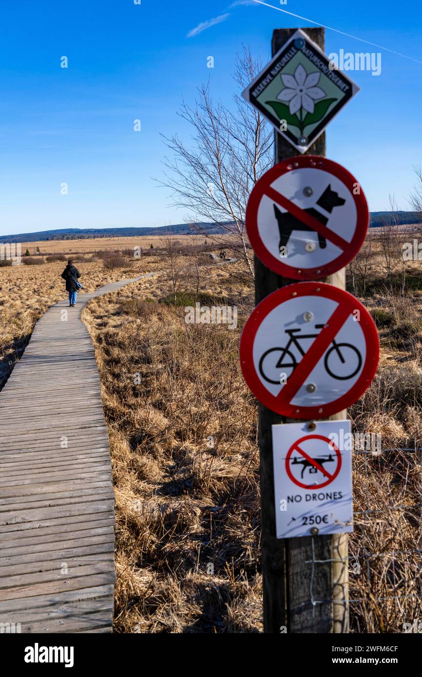the High Fens, high moor, in the Eifel and Ardennes region, High Fens ...
