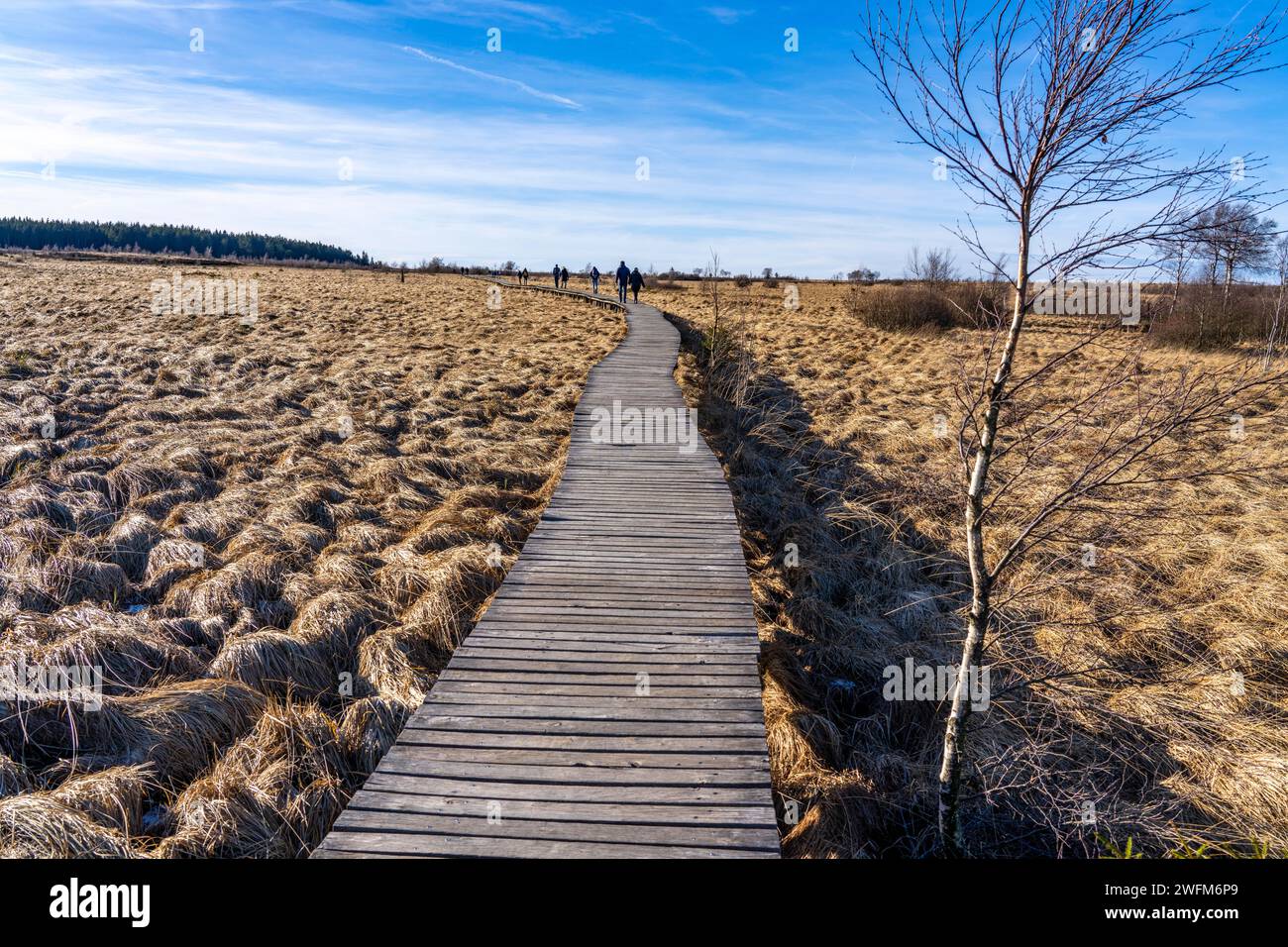Raised walkways hi-res stock photography and images - Alamy