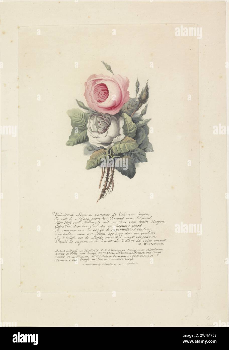 Roses with silhouette portraits by Willem I Frederik, King of the ...