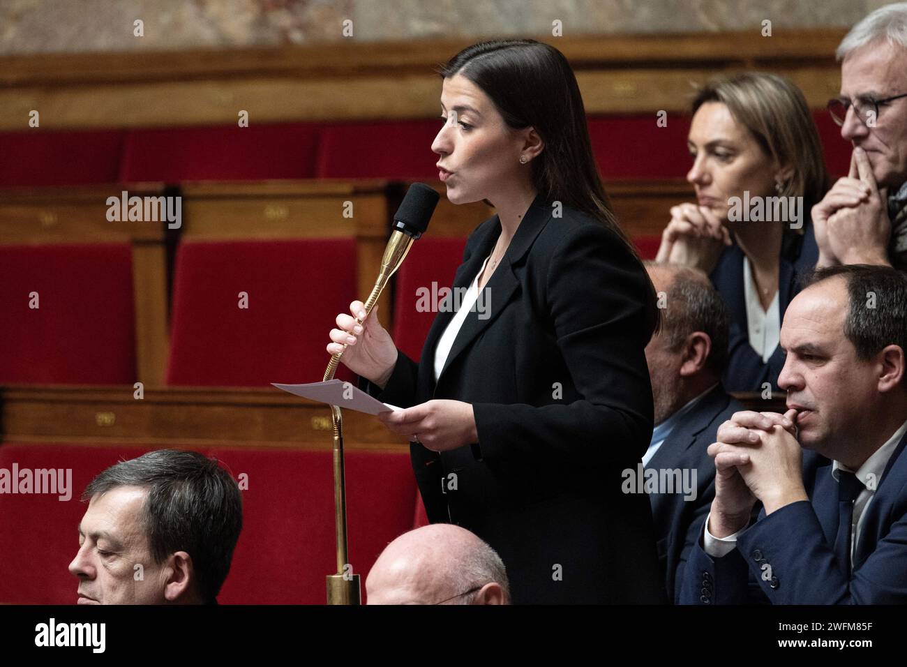 Paris, France. 07th Nov, 2022. Deputy, Louise Morel attends a session ...