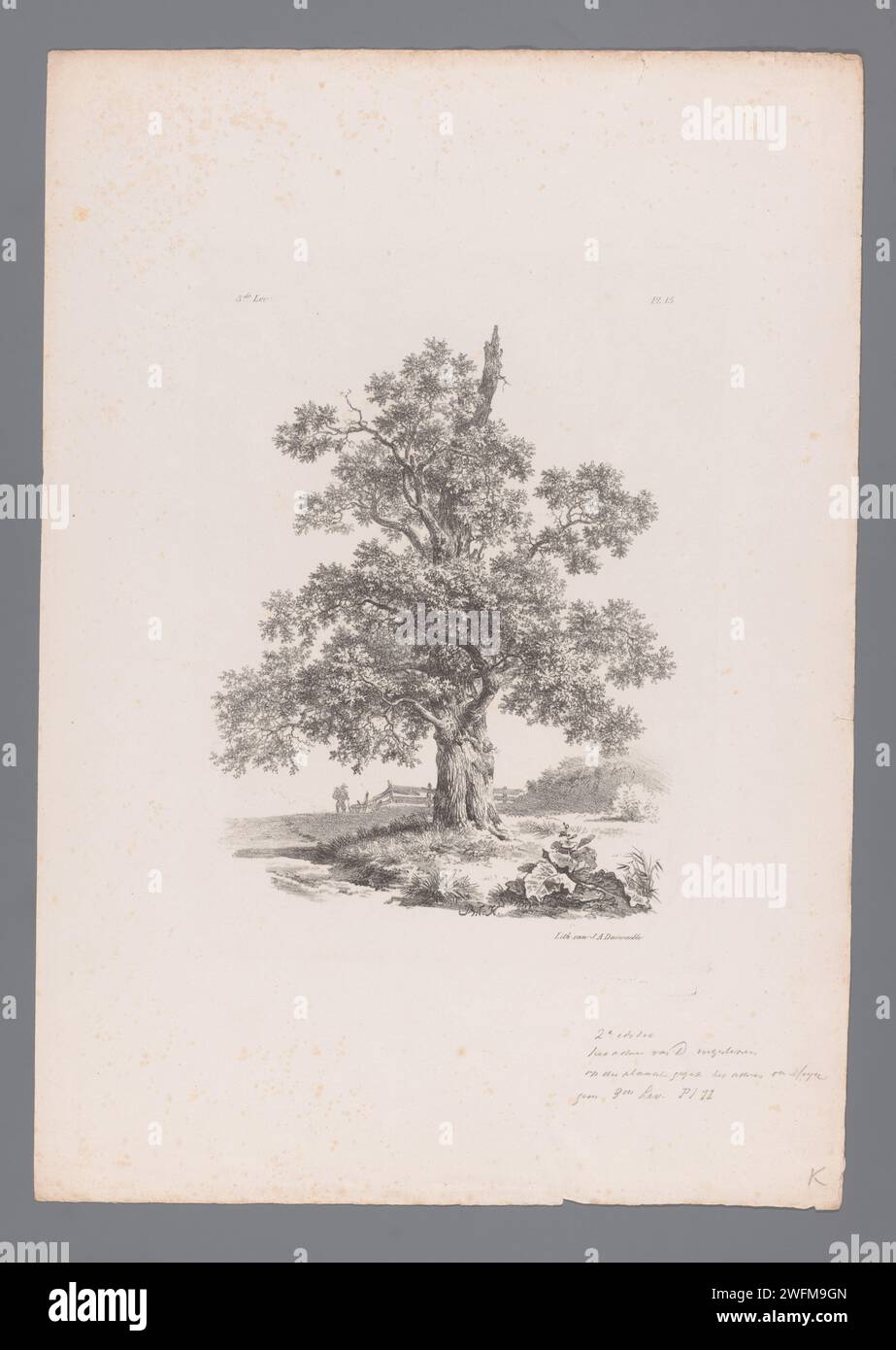 Boom in landscape, Barend Cornelis Koekkoek, 1829 - 1830 print Behind ...