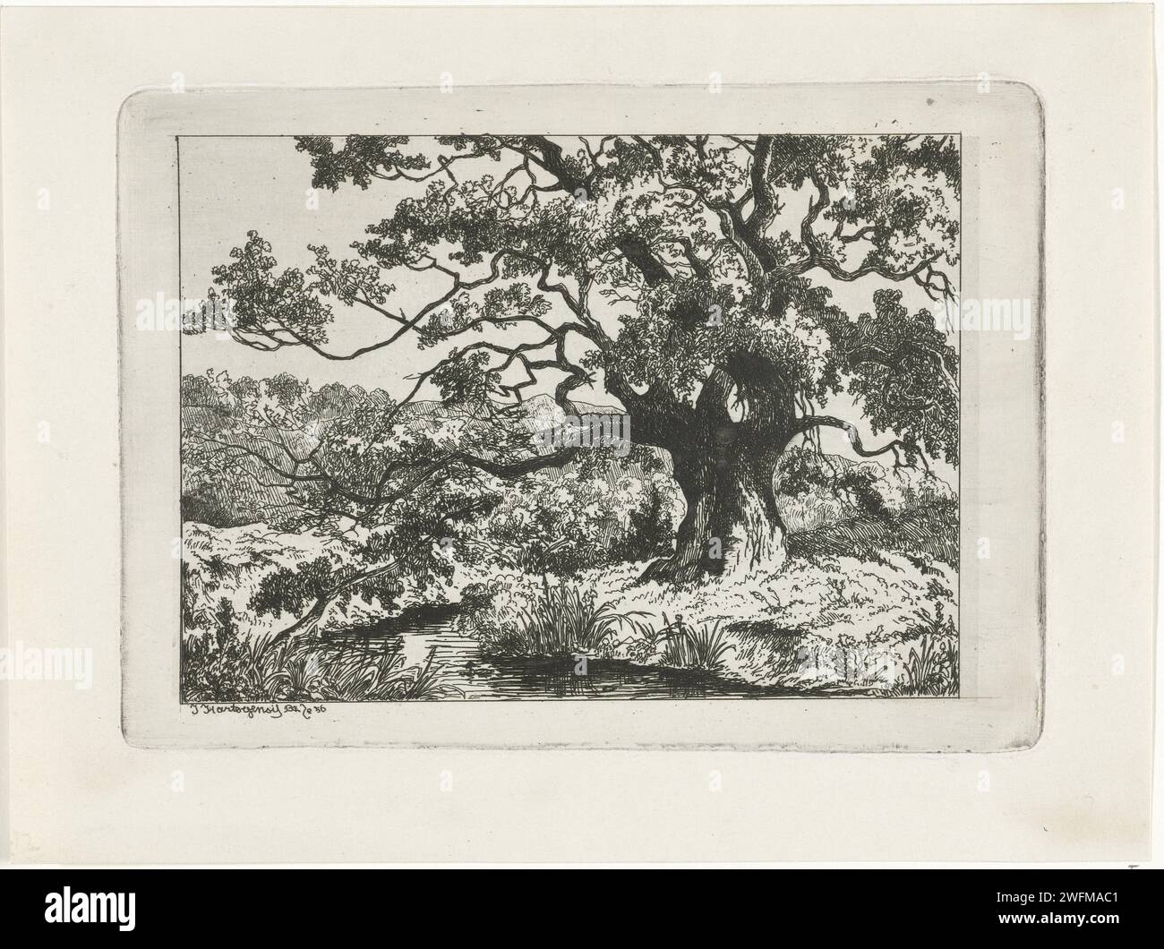 Landscape in Wolfheze, Joseph Hartogensis, 1856 print The Hague paper ...