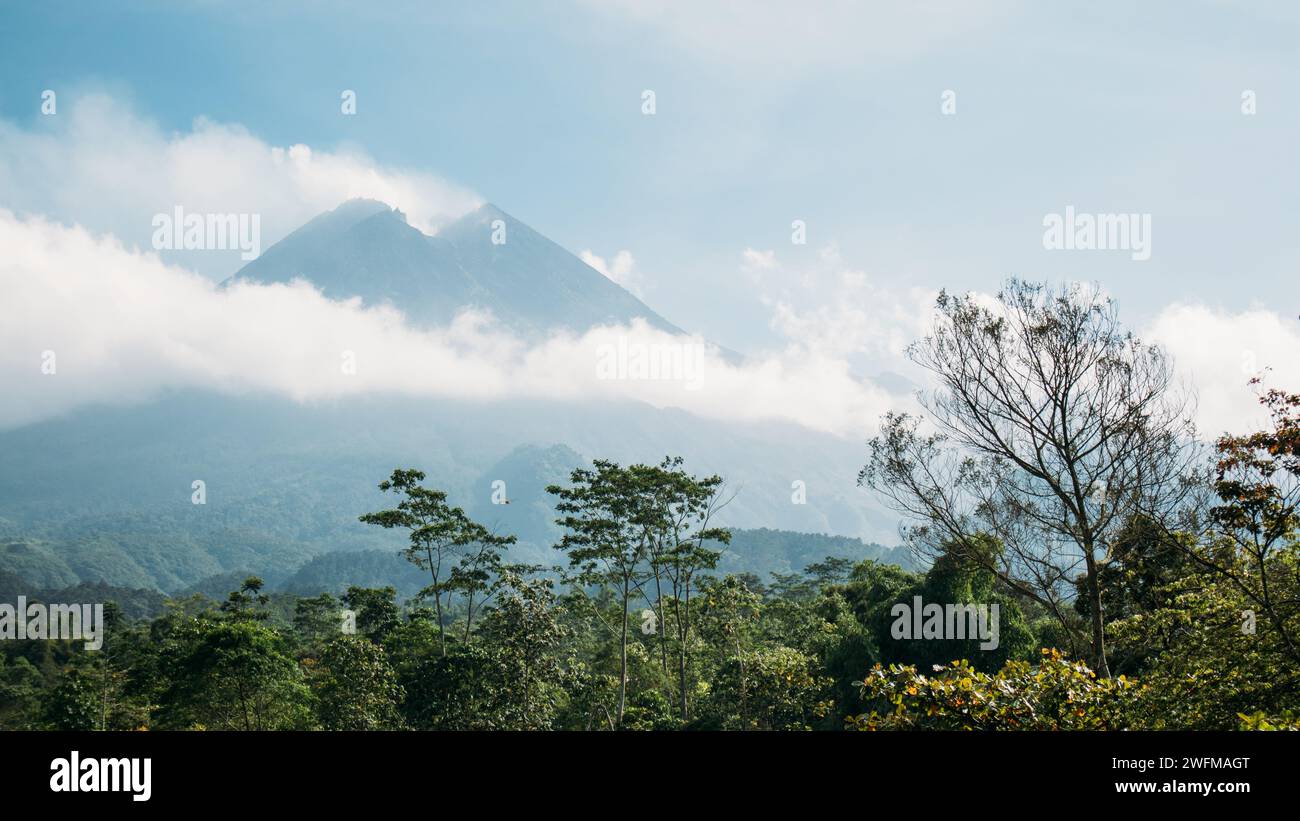 Enshrouded forest landscape hi-res stock photography and images - Alamy