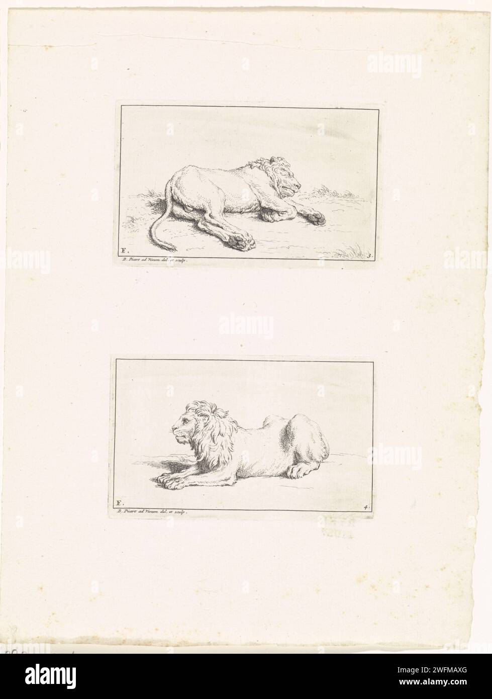 F numbered hi-res stock photography and images - Alamy