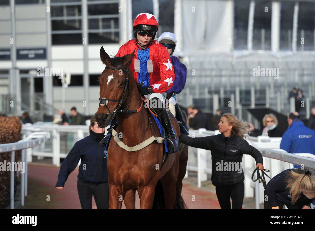 Race 5 2.25 My Pension Expert Clarence House Steeple Chase. Editeur Du ...