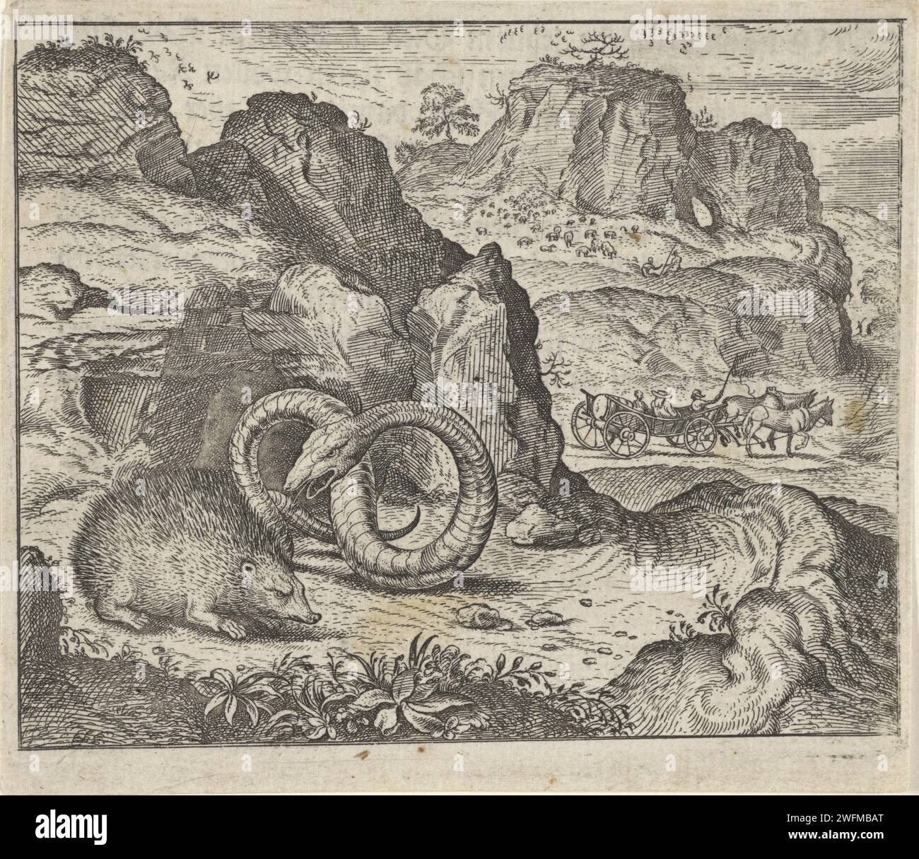 Fael van de egel and slang, aegidius saeler (II), after marcus Ggoerts ...