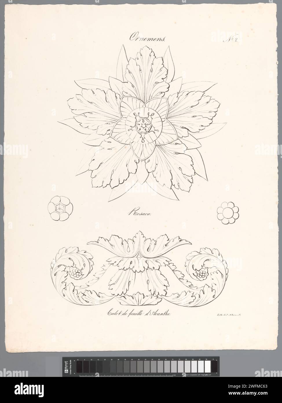 Drawing examples Acanthus motifs, Jean Augustin Daiwaille, 1820 - 1833 ...