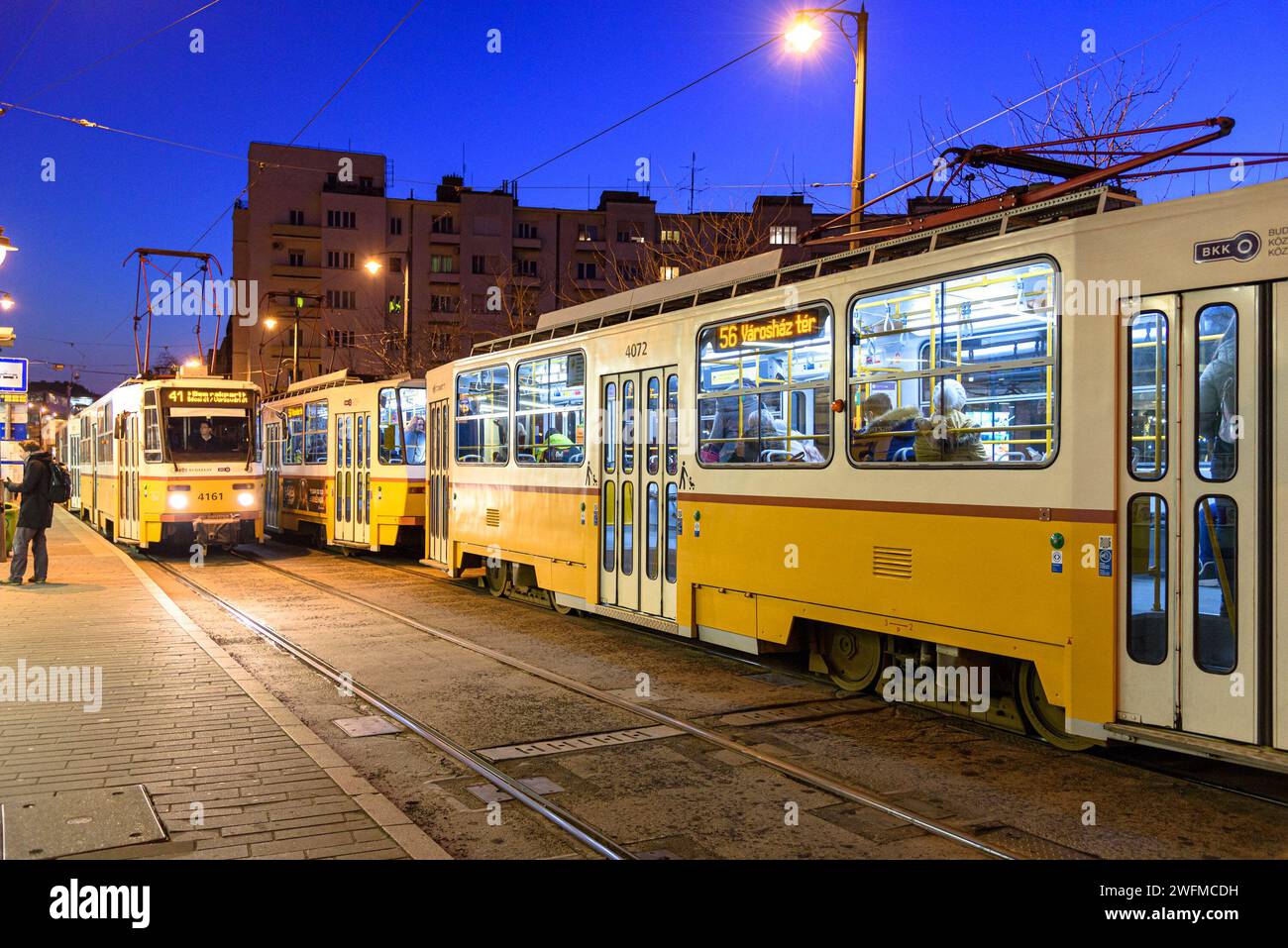 Two Tatra T5C5K trams on lines 41 and 56 at Moricz Zsigmond Korter in ...