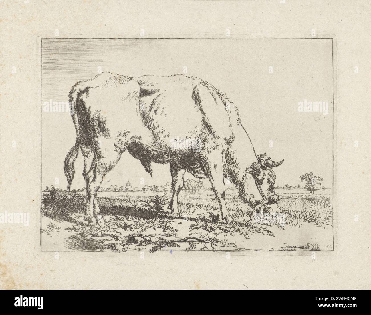 Grazende Bier, Pieter Gerardus van Os, 1798 print Netherlands paper ...