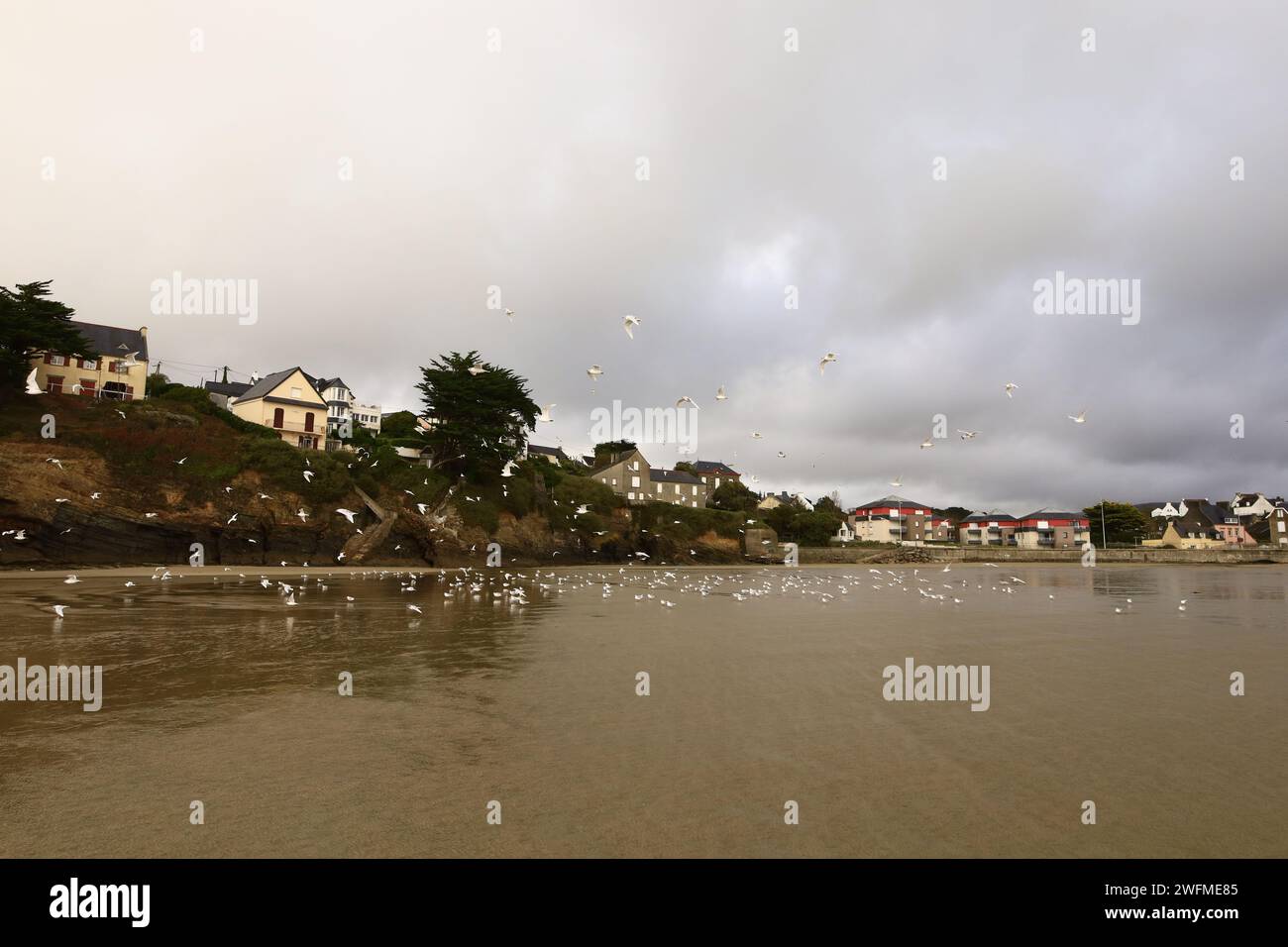 View on the beach of Trez-Bellec located on the peninsula of Crozon ...
