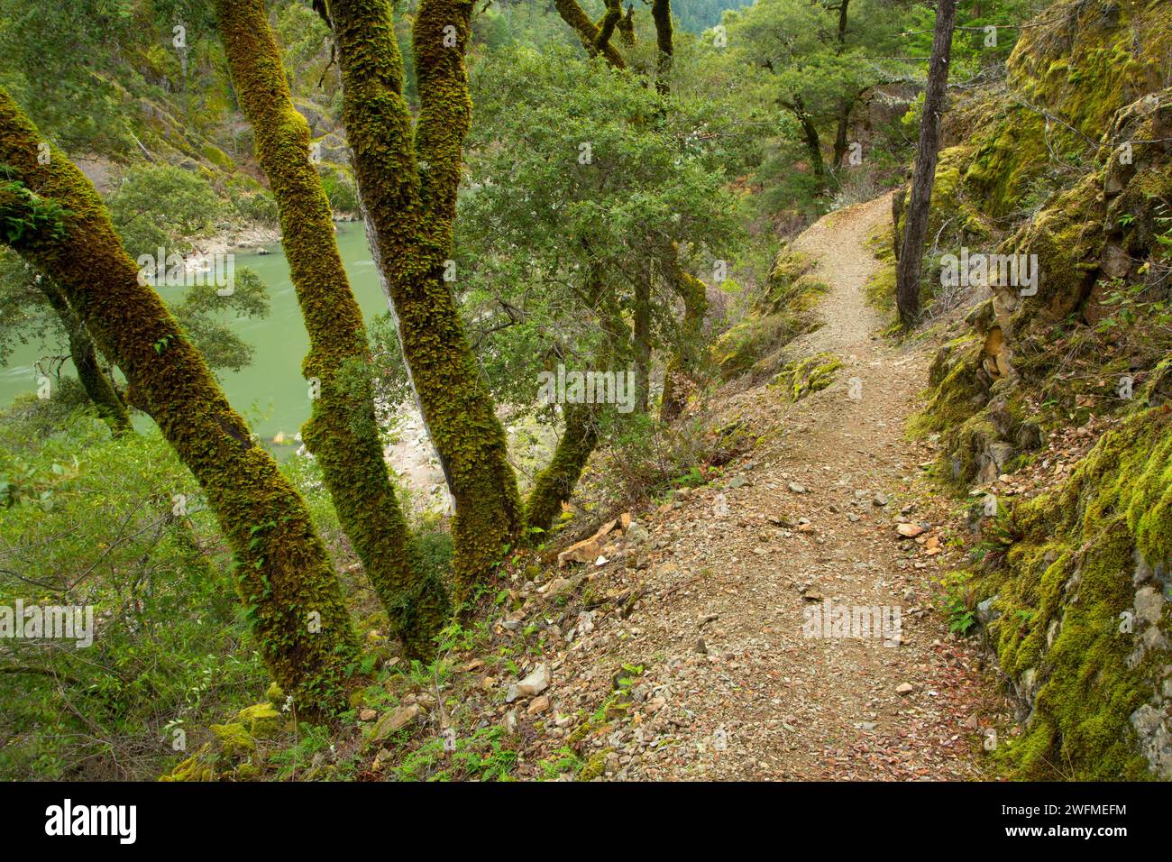 Rogue River National Recreation Trail, Rogue Wild and Scenic River ...