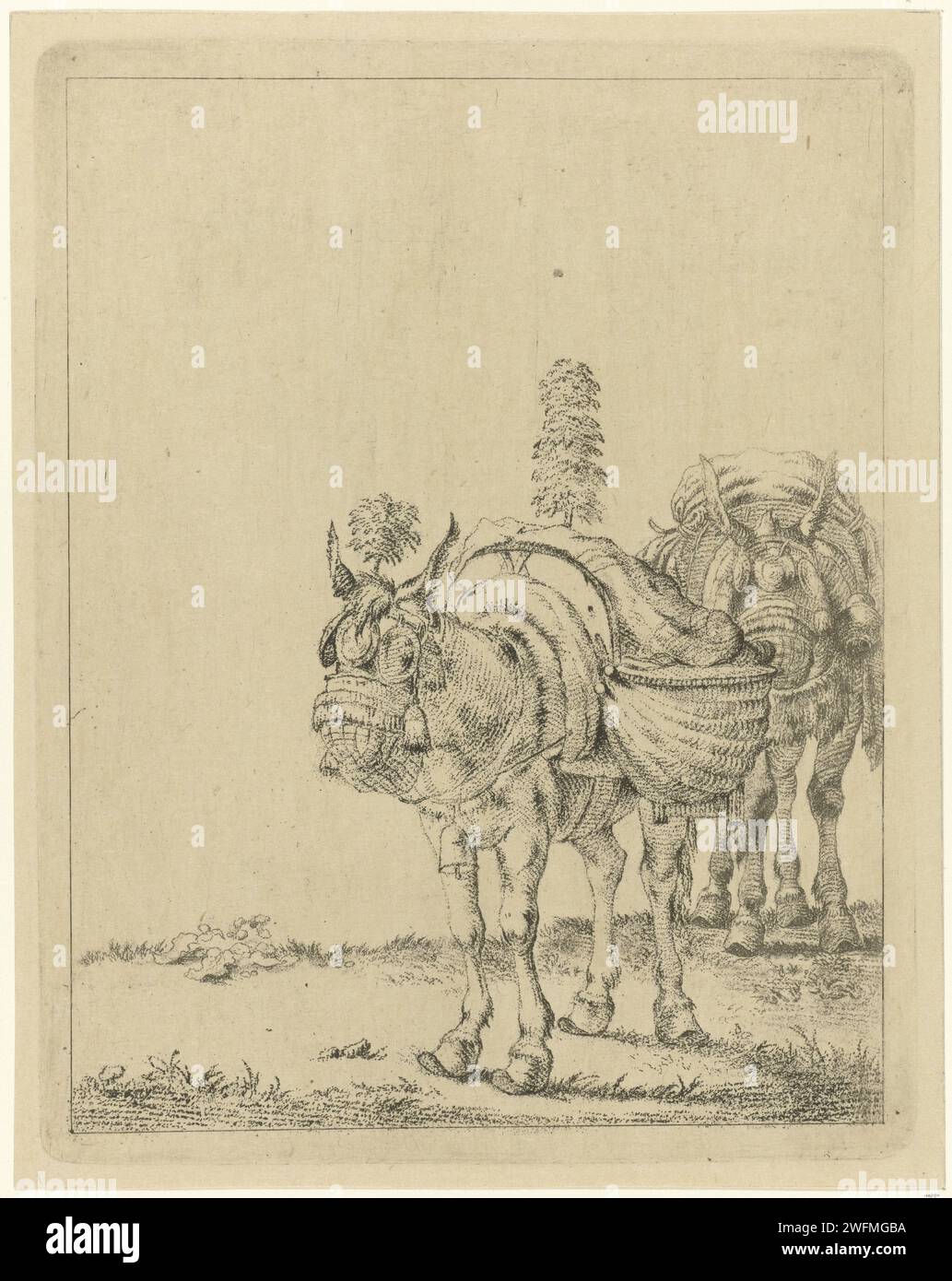 Two packed mules, Johannes Janson, after Karel du Jardin, 1761 - 1784 ...