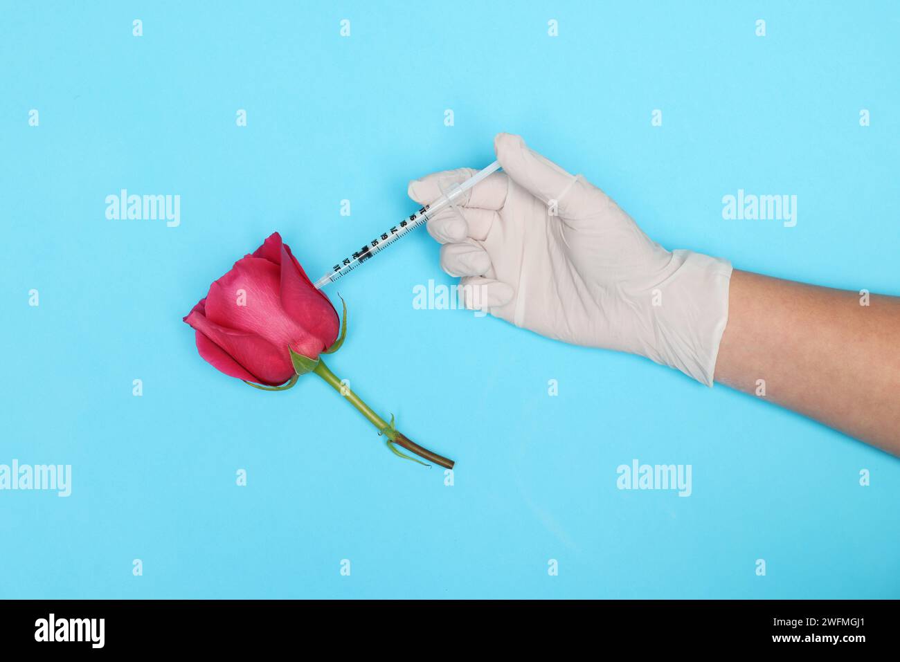 Doctor making injection to rose on light blue background, top view ...
