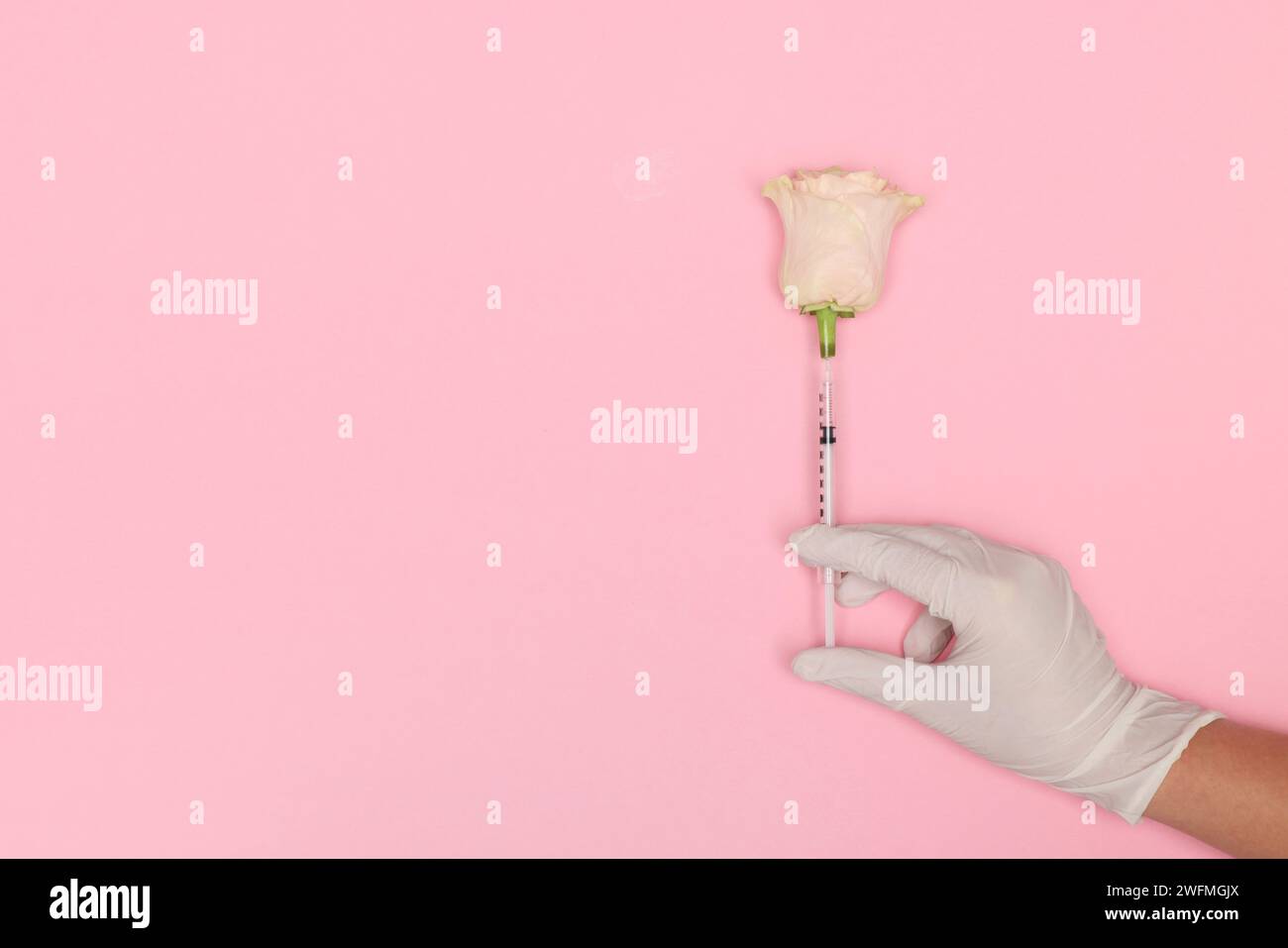 Doctor making injection to rose on pink background, top view. Space for ...