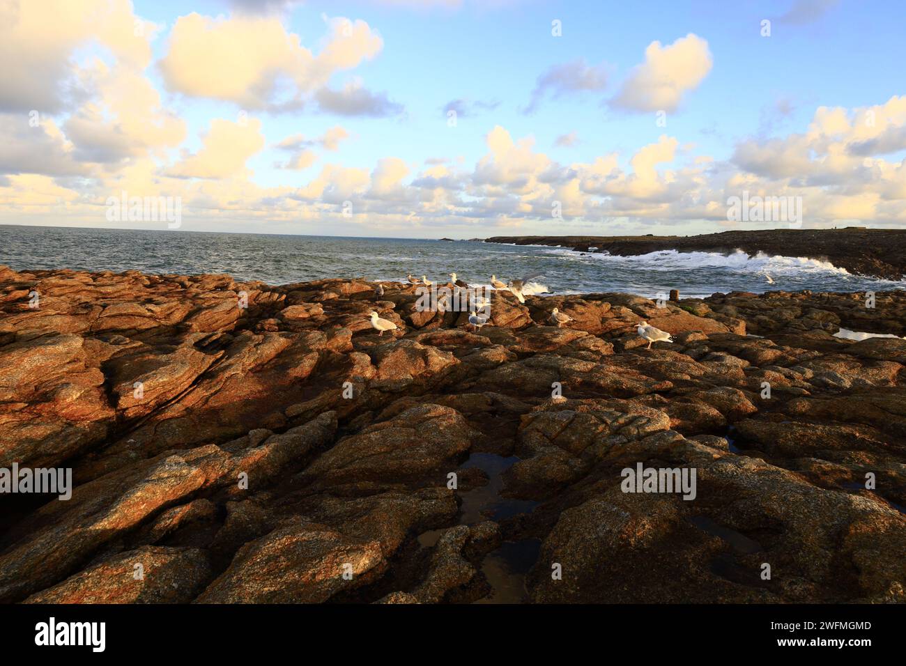The peninsula of Quiberon is a French peninsula located in Morbihan ...