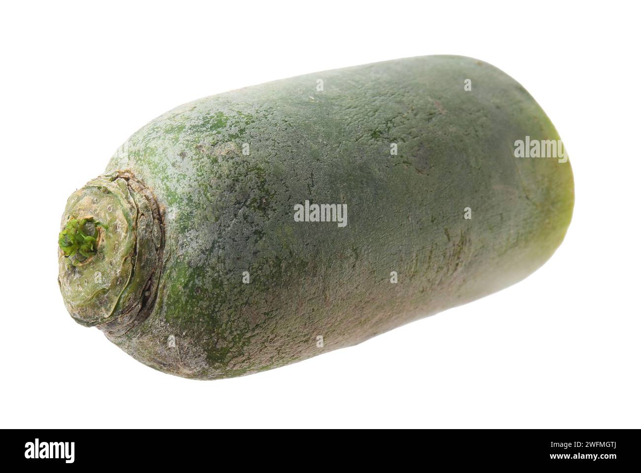 Green daikon radish hi-res stock photography and images - Alamy