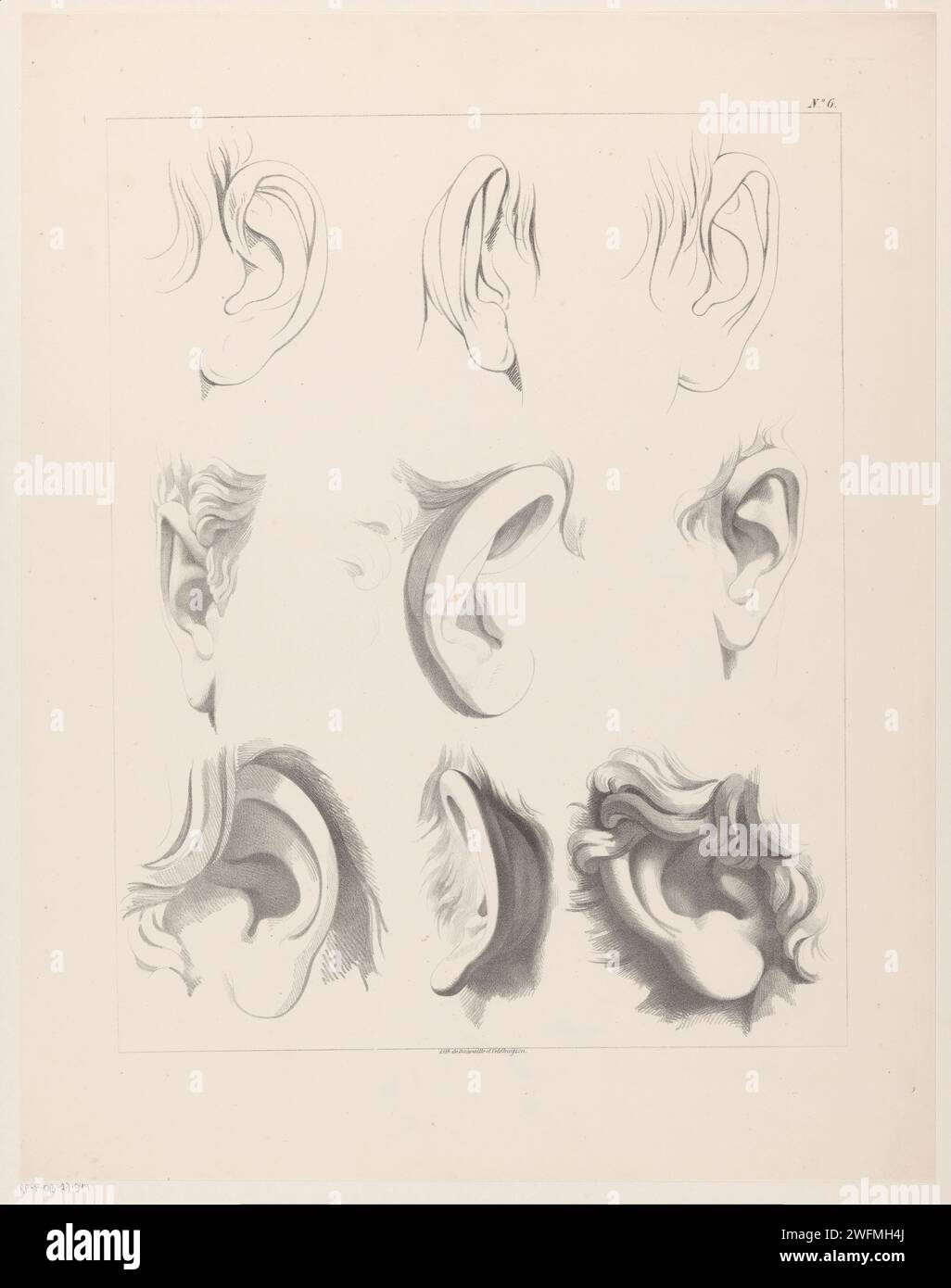 Nine ears, Jean Augustin Daiwaille, 1820 - 1833 print The ears are ...