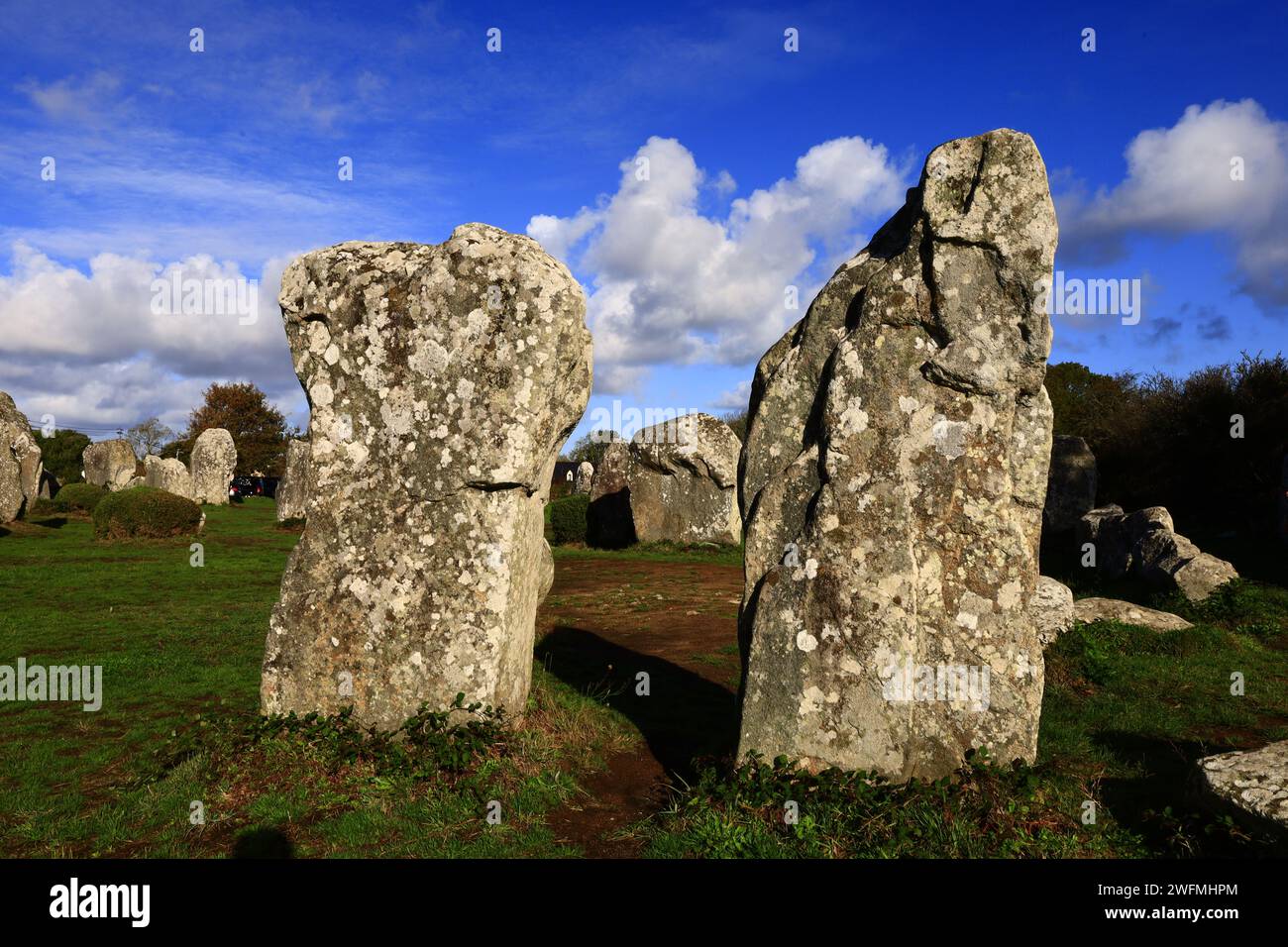 Kerzérho is a set of neolithic alignments in the commune of Erdeven, in ...