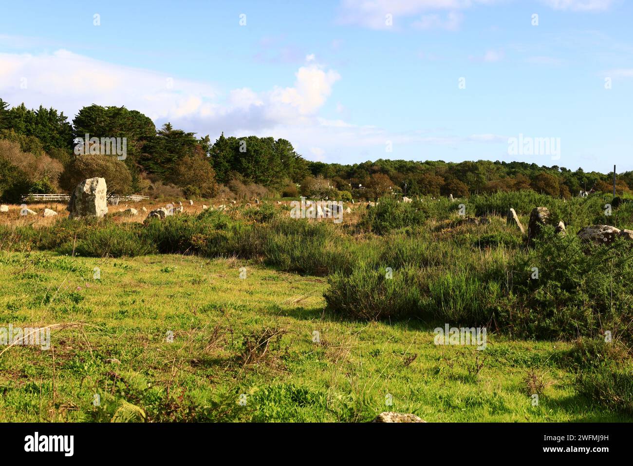 The Carnac stones are an exceptionally dense collection of megalithic ...
