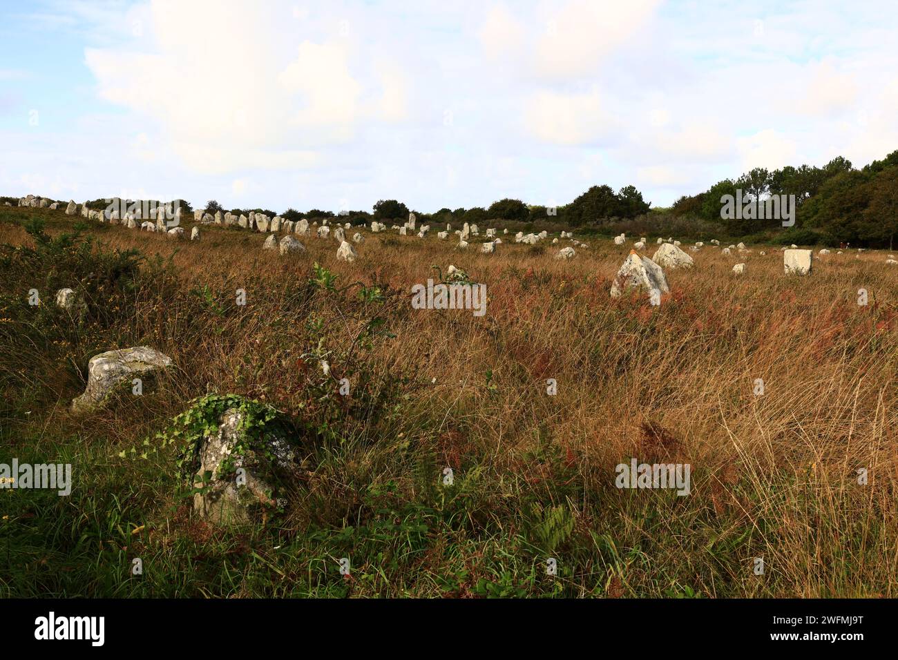 The Carnac stones are an exceptionally dense collection of megalithic ...