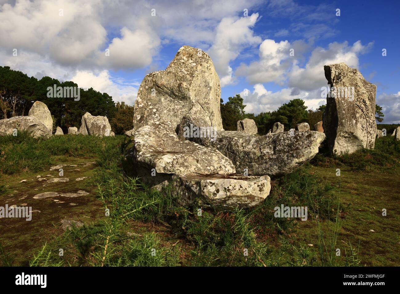 The Carnac stones are an exceptionally dense collection of megalithic ...