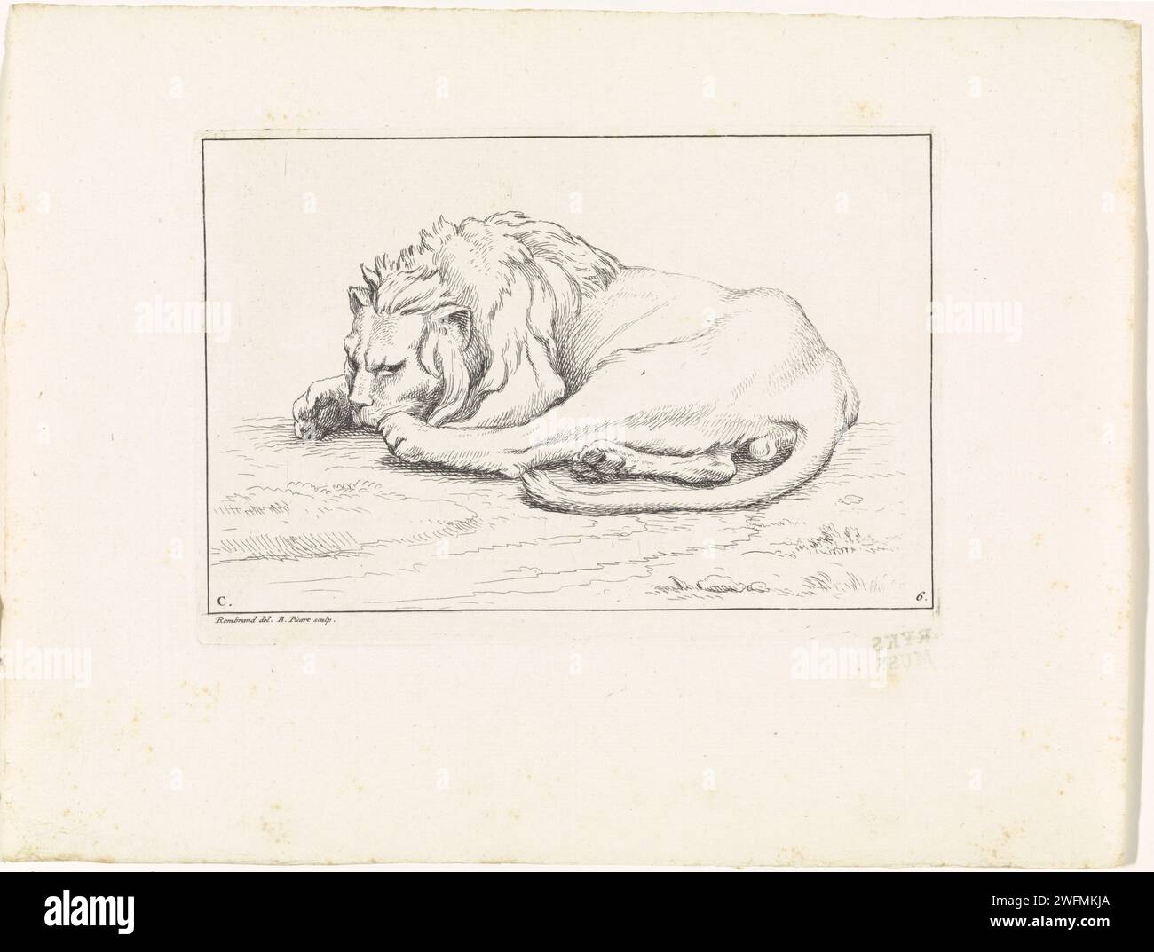 Lion on the grass, Bernard Picart, After Rembrandt van Rijn, 1729 print ...