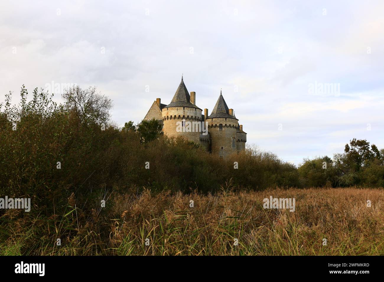 The Castle of Suscinio is a Breton castle, built in the late Middle ...