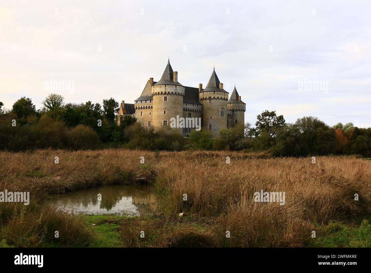 The Castle of Suscinio is a Breton castle, built in the late Middle ...