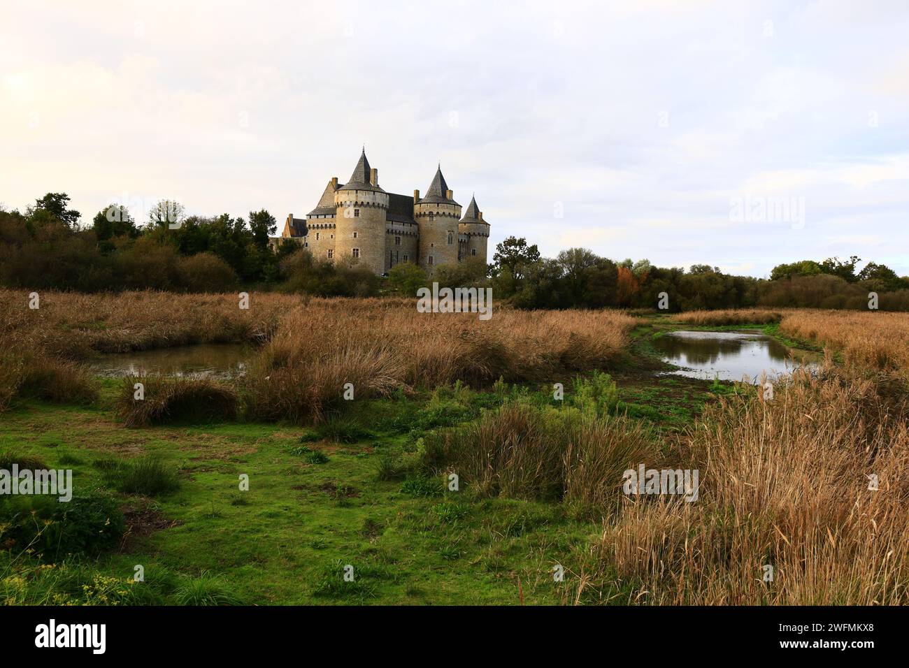 The Castle of Suscinio is a Breton castle, built in the late Middle ...