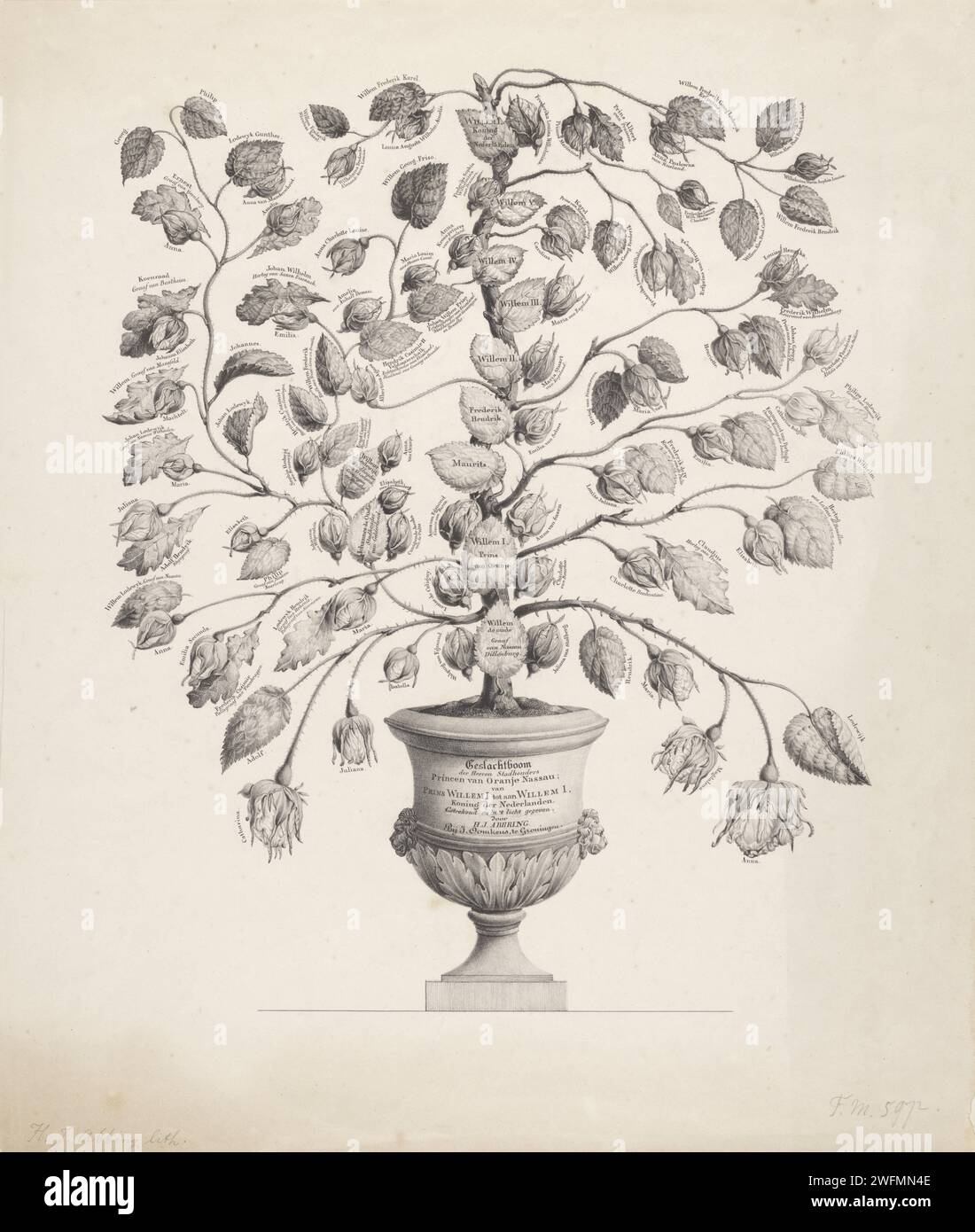 Dutch lineage hi-res stock photography and images - Alamy