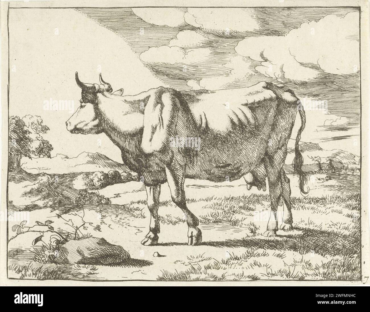 Standing cow to the left, 1728 - c. 1761 print The Hague paper etching ...