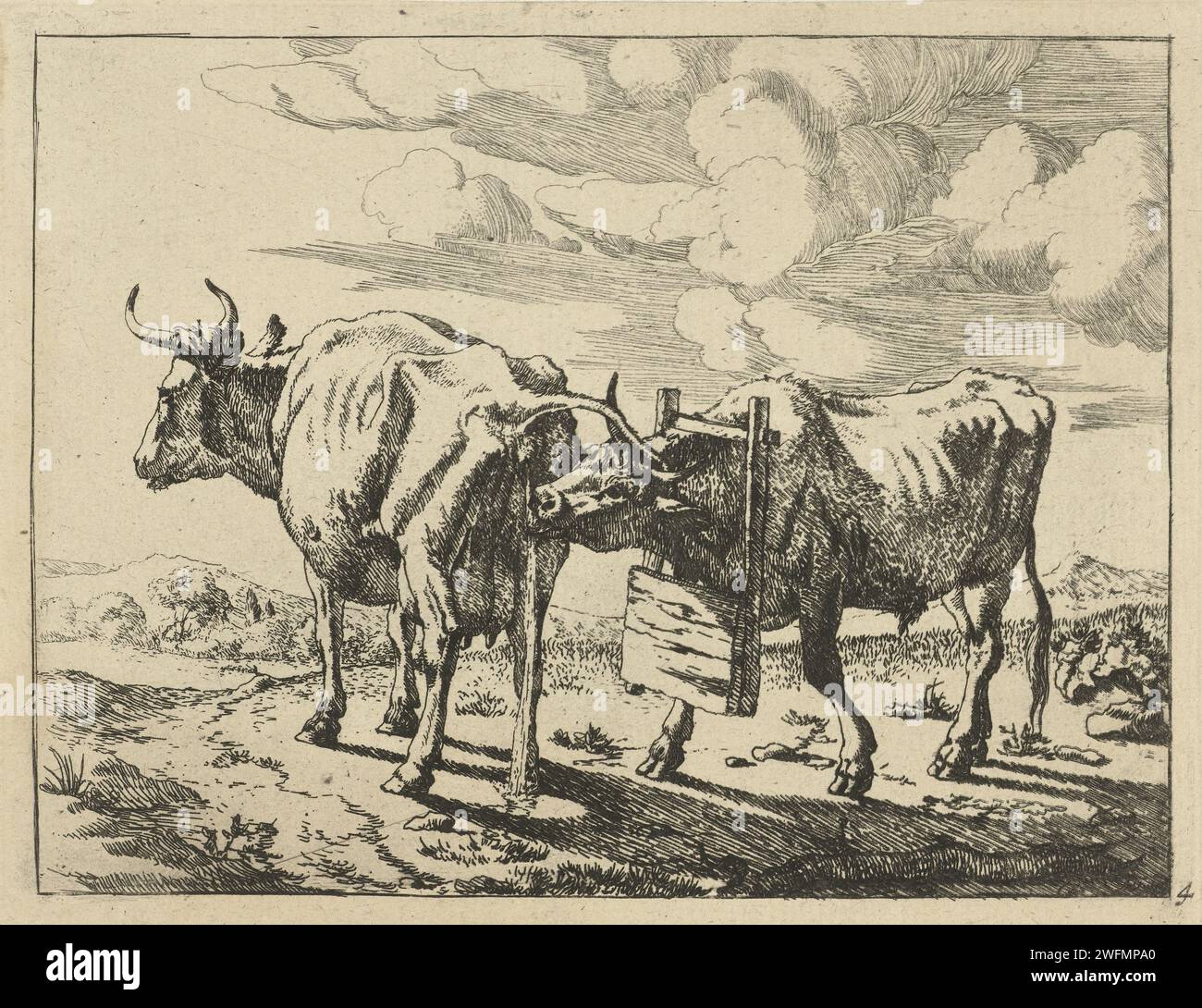 Two standing cows, 1728 - c. 1761 print The Hague paper etching cow ...